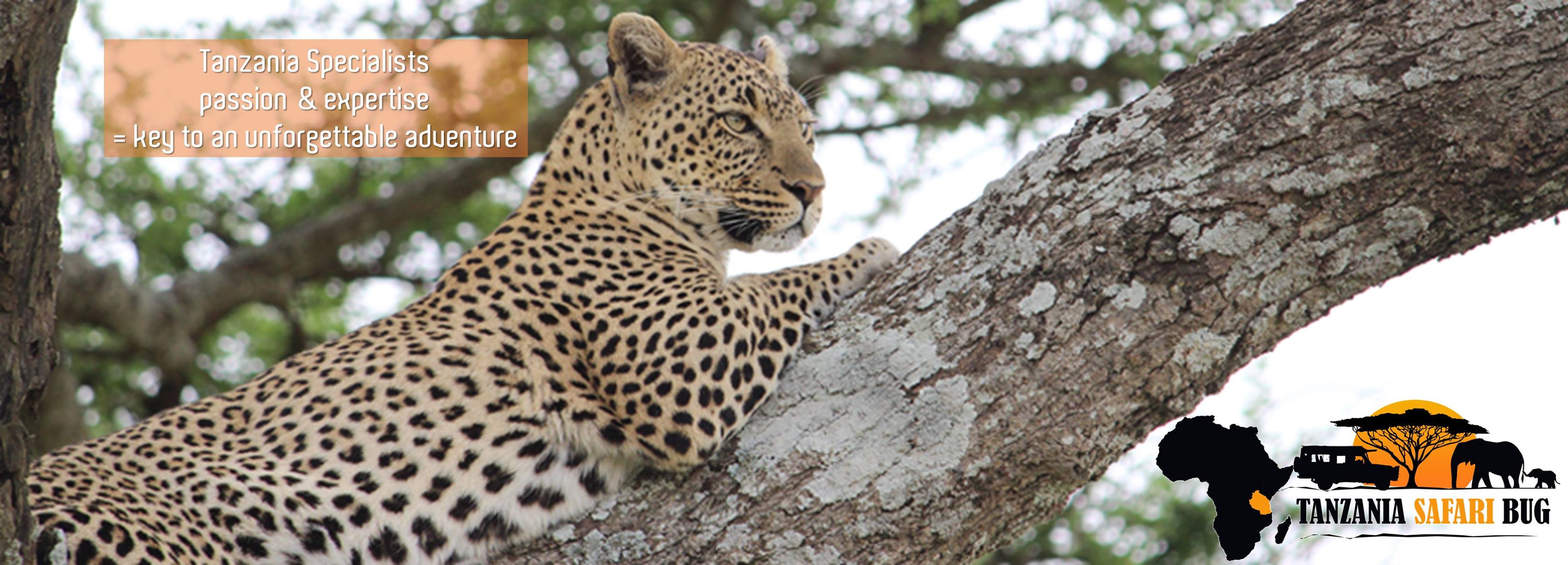 Home [globalappslogic.com]